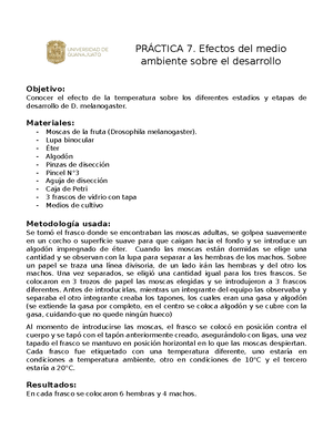 Practica 5 -anatomia de la larva - Laboratorio de Biologia del Desarrollo DCNE Practica 5 ...