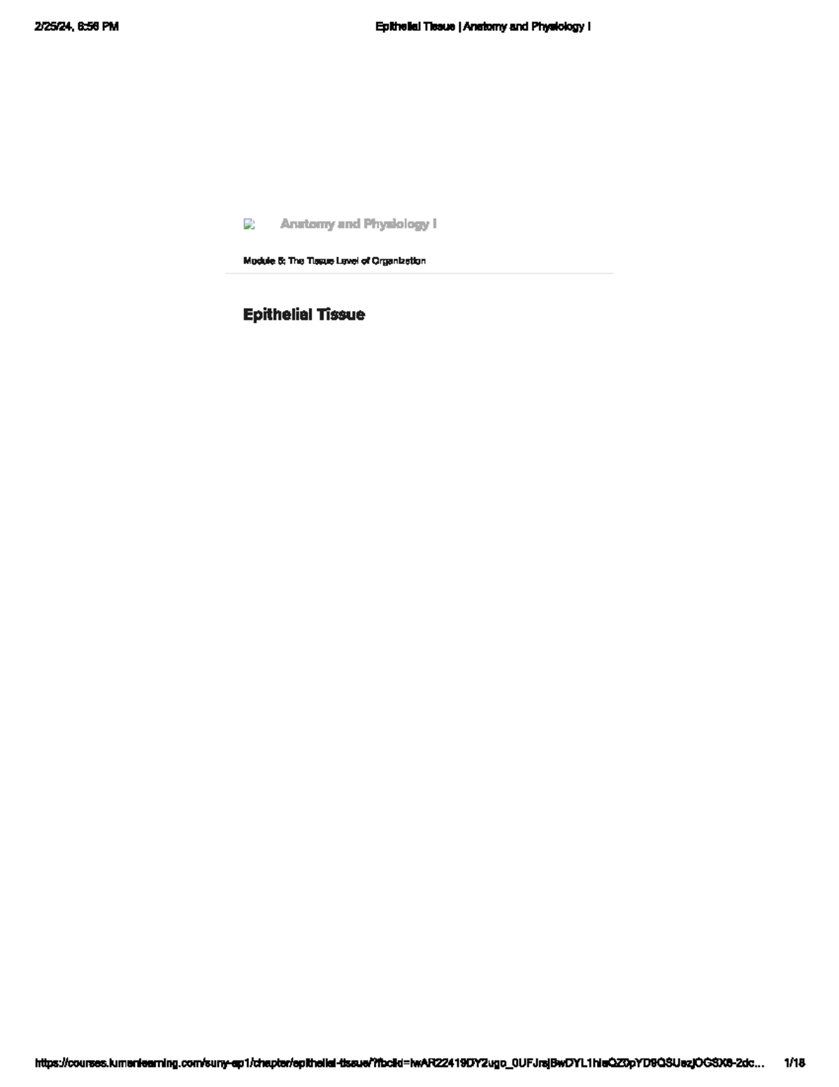 Epithelial tissue - BSEd Science - Studocu