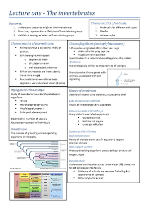 Locust Dissection Notes - Locust Dissection Notes General Functions ...