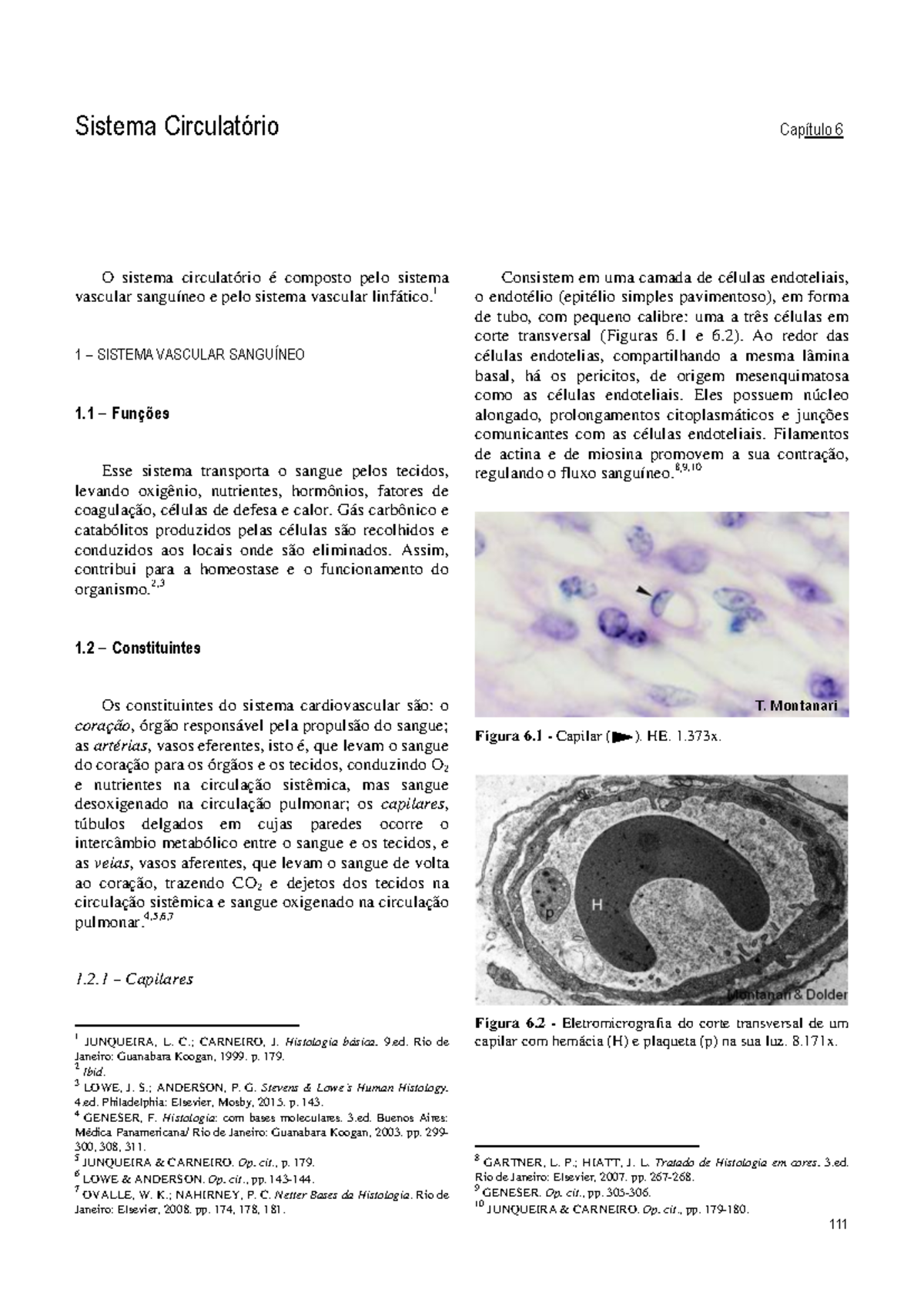 6Circulat - Fyvyv7 - Sistema Circulatório Capítulo 6 O sistema ...