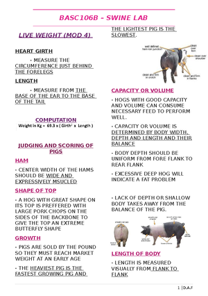 BASC106B Swine LAB Swine Terminologies - BASC106-B Swine Lab ...