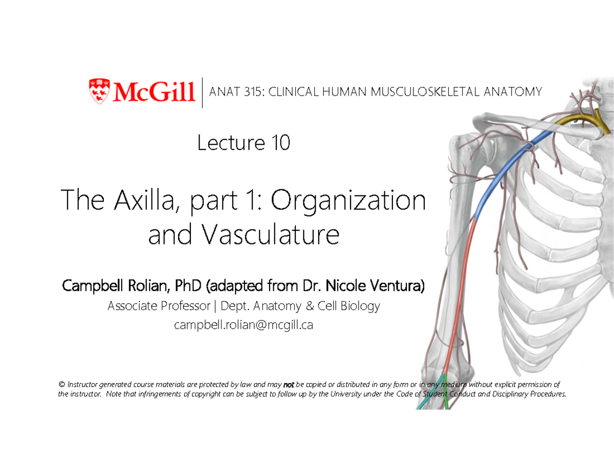 Lec 10 - Axilla and Upper Limb Vasculature - Lecture 10 The Axilla ...