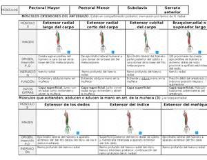 Acid-base Fluids and Electrolytes Made Ridiculously Simple booksmedicos ...