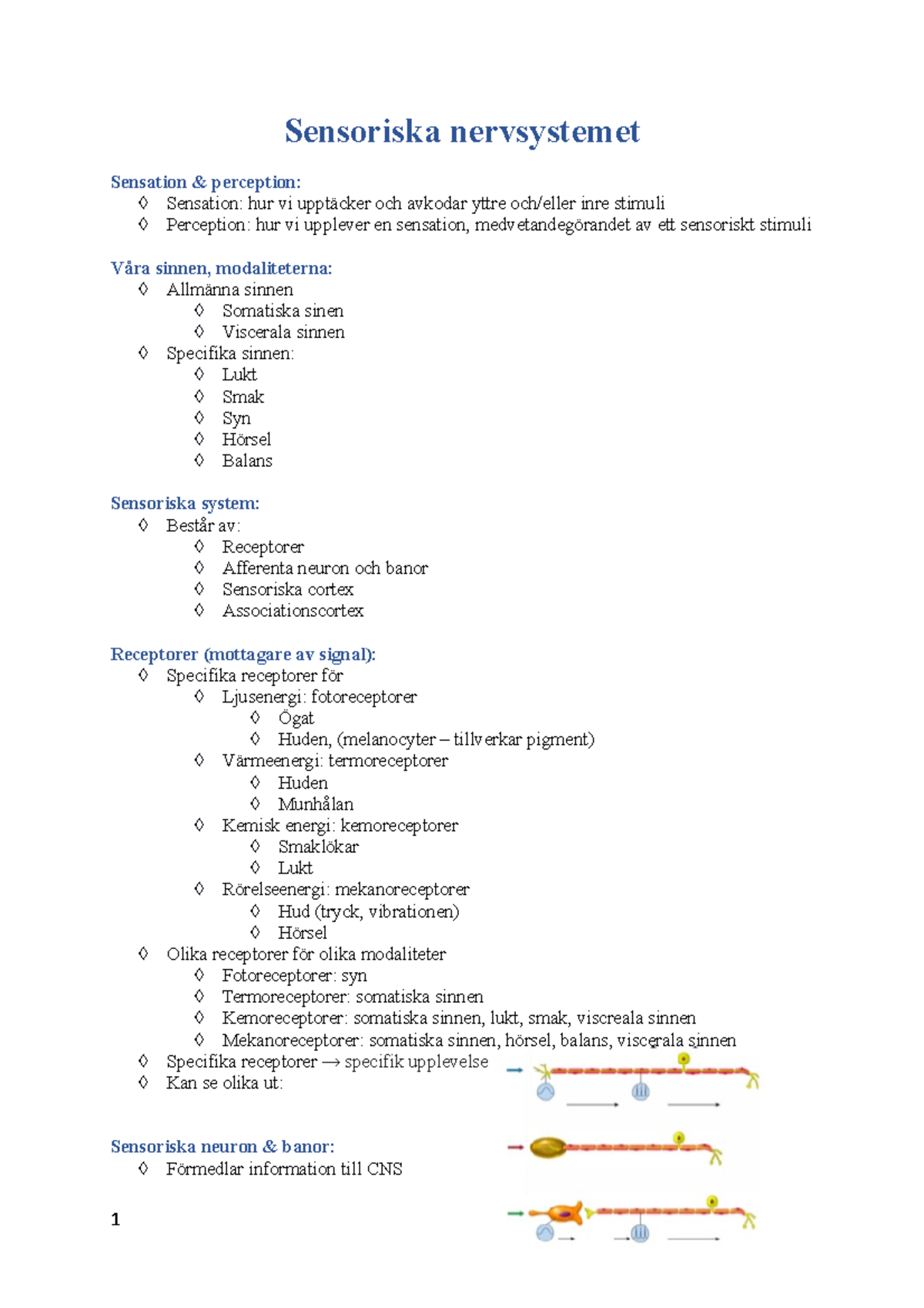 Sensoriska nervsystemet - Sensoriska nervsystemet Sensation ...
