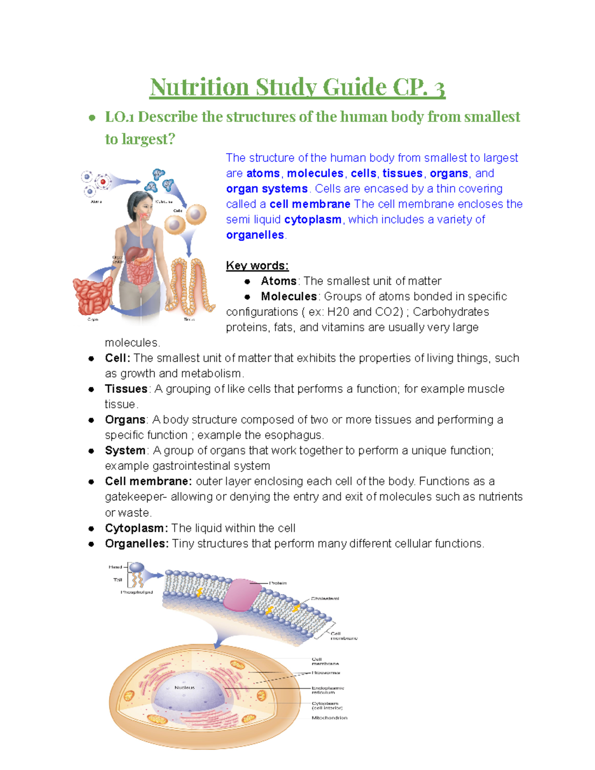 Nutrition Study Guide 3 and 4 - Nutrition Study Guide CP. 3 LO Describe ...