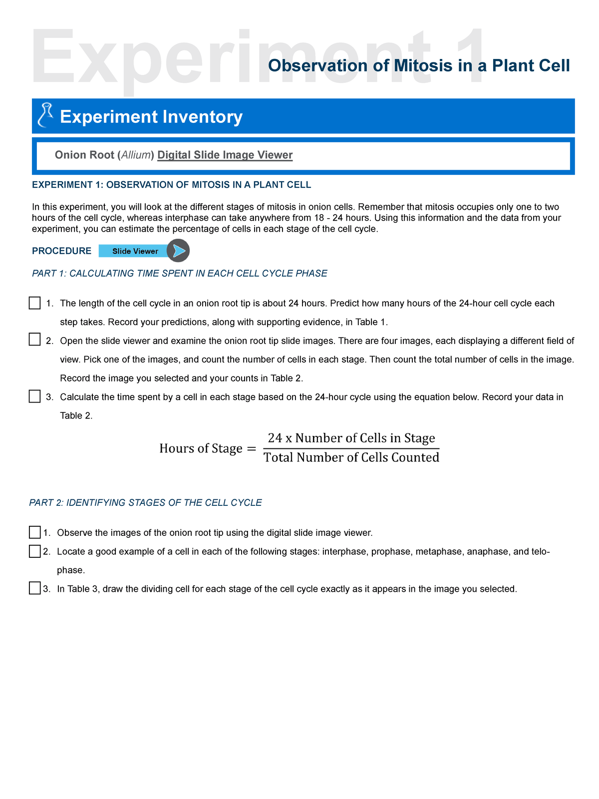 Exp1 Obs Mitosis - This was an assignment - Experiment 1 Observation of ...