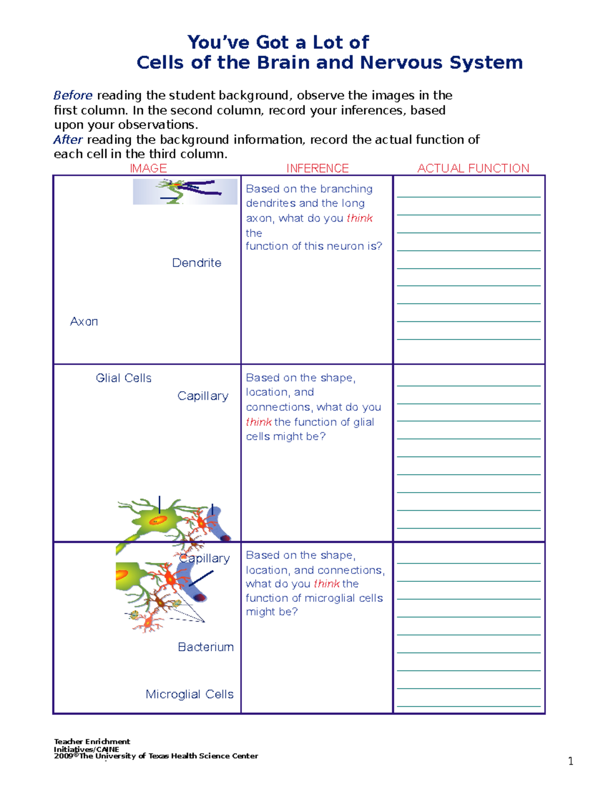 2. Types of brain cells activity - Cells of the Brain and Nervous ...