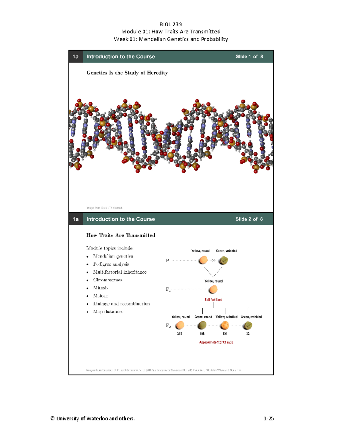 Bio-239-week01 - jbkjn;k - Module 01: How Traits Are Transmitted Week ...