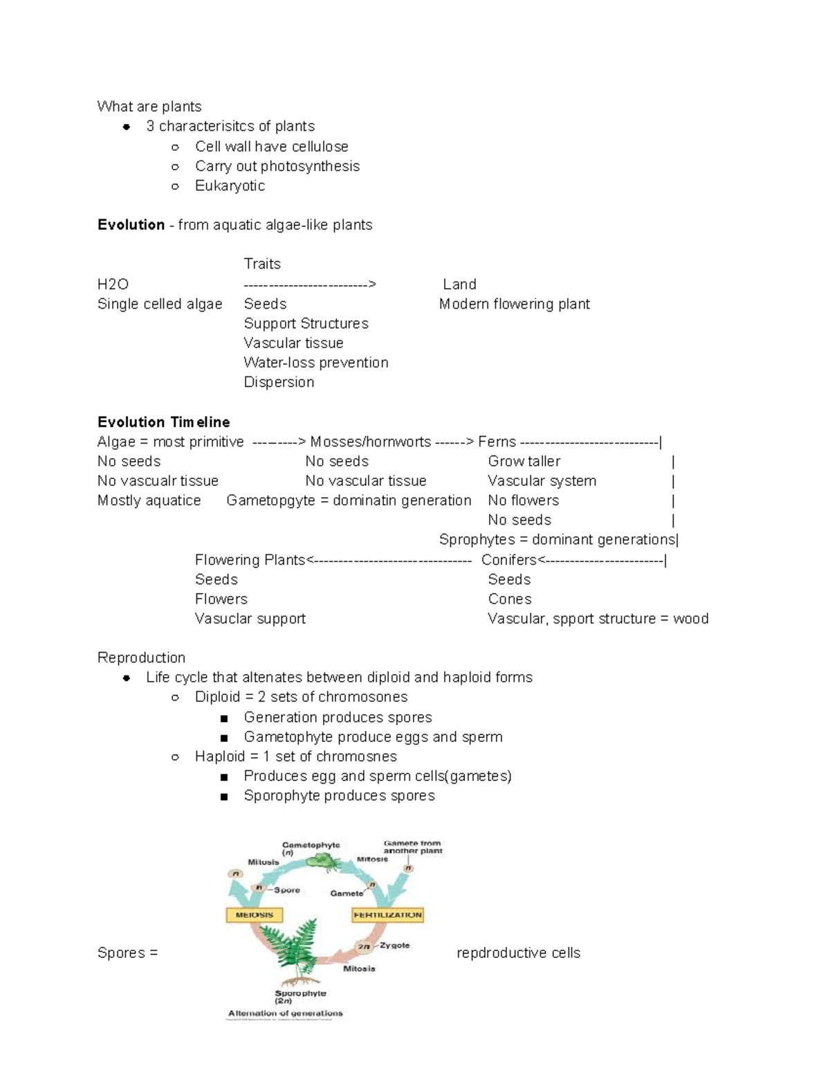 3.1 Kingdom Plantae - Bio notes for chapter test - What are plants 3 ...