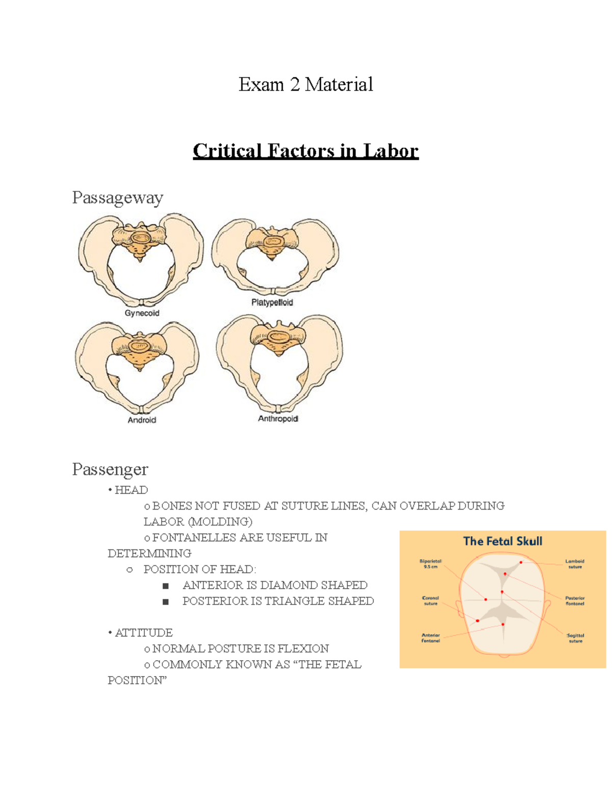 Exam 2 w - my notes for exam 2 - Exam 2 Material Critical Factors in ...