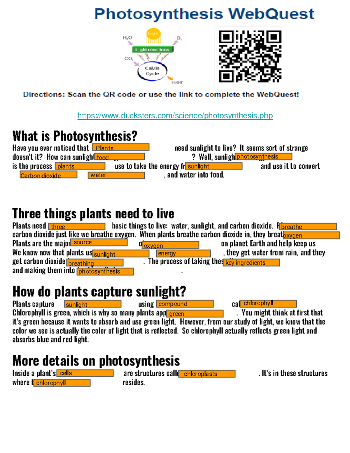 Kami Export - Miguel Biggs - Webquest Photosynthesis - ducksters ...