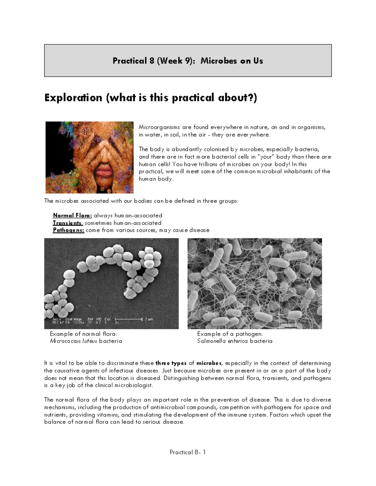 2021 Practical 8 Microbes on Us Student Lab manual - Practical 8 (Week ...