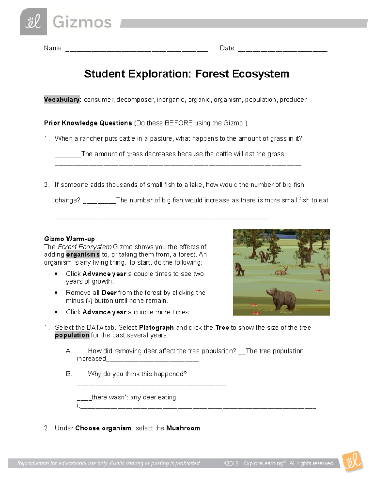 Forest Ecosystem SE - Essay - Name ...