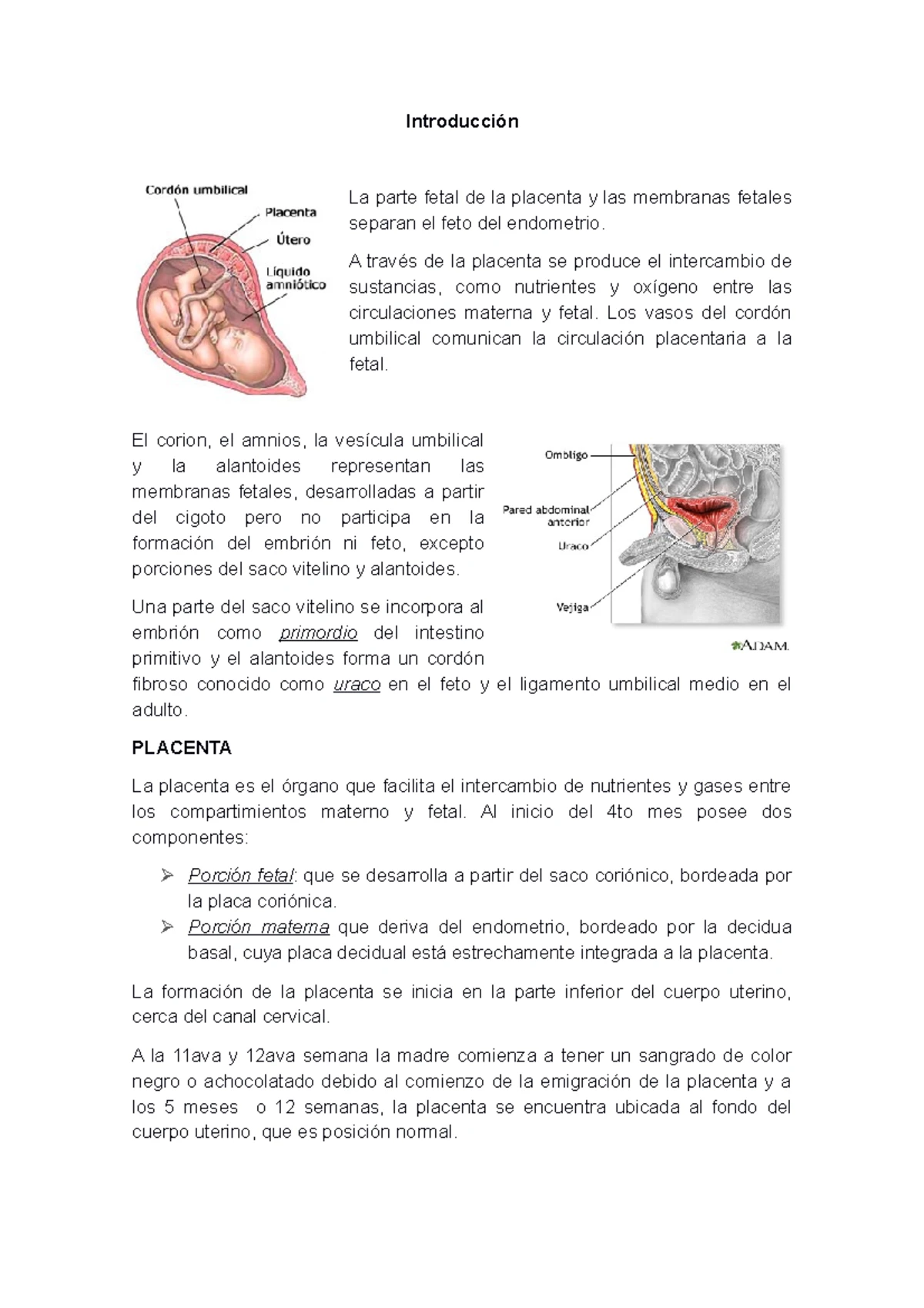Grupo 5 Morfología Generalidades Del Esmalte Dental Composición