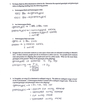 The Mystery of the Toxic Flea Dip key - ANSWERS TO THE MYSTERY OF THE ...