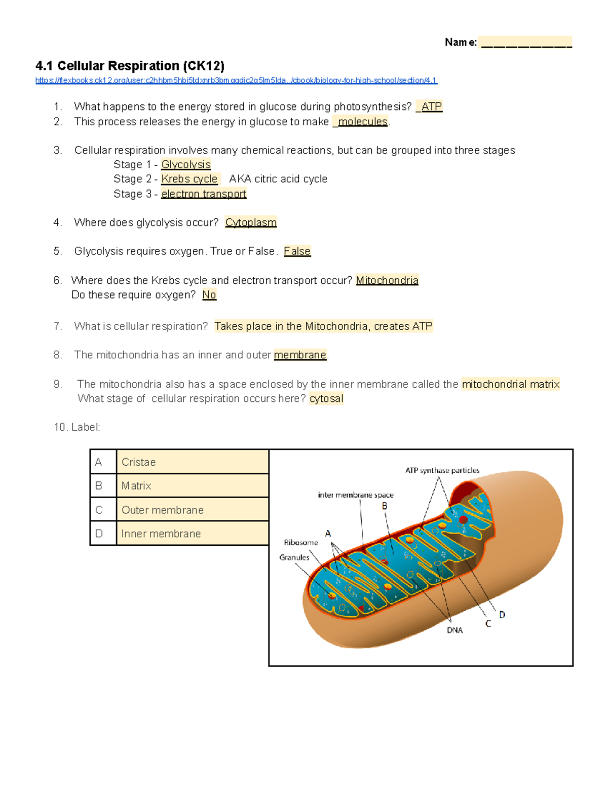 Copy of CK12 Reading 4-1 - Name: _______________ 4 Cellular Respiration (CK12) - Studocu