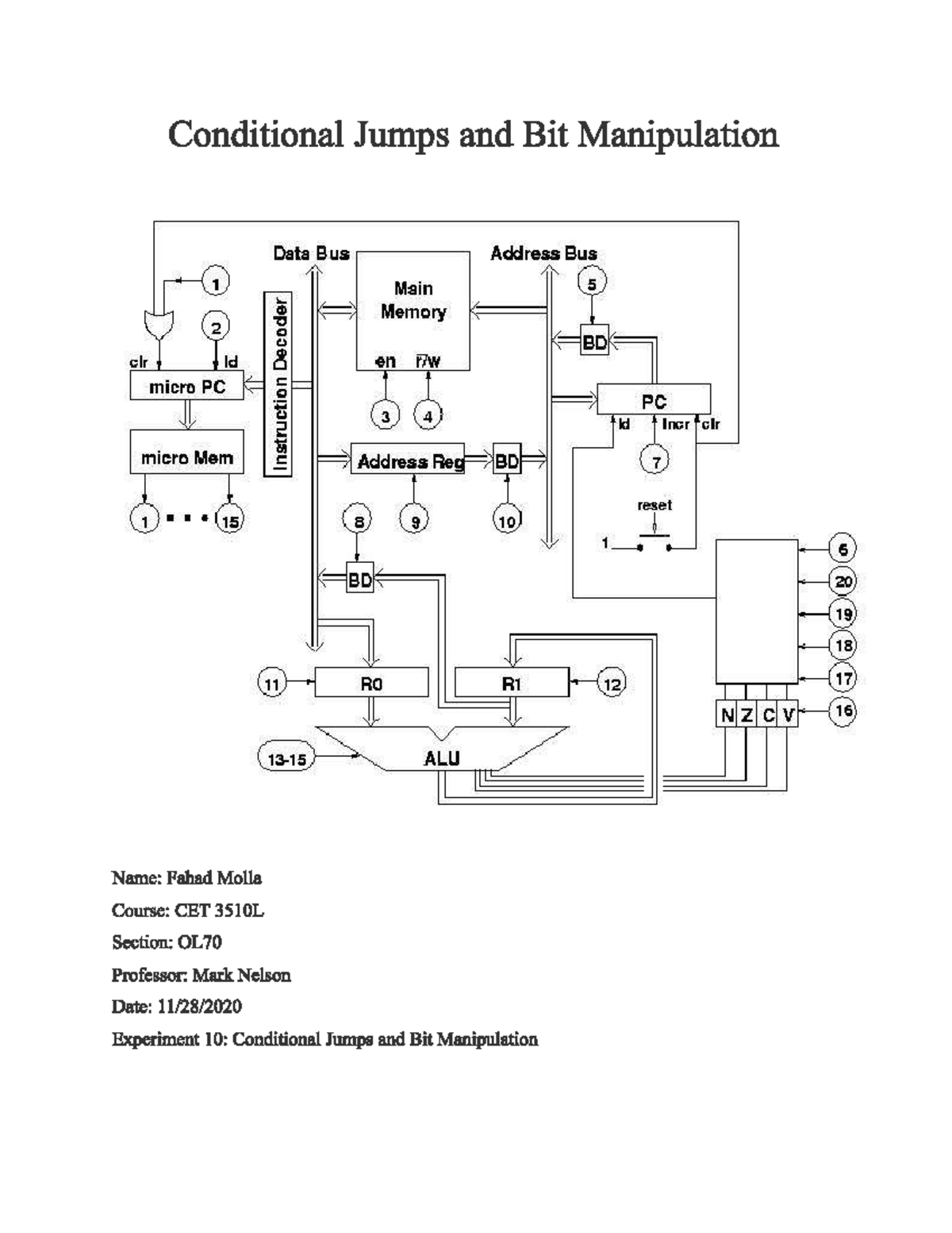 CET 3510 Lab 10 - CET 3510 Lab 10 - Conditional Jumps and Bit ...
