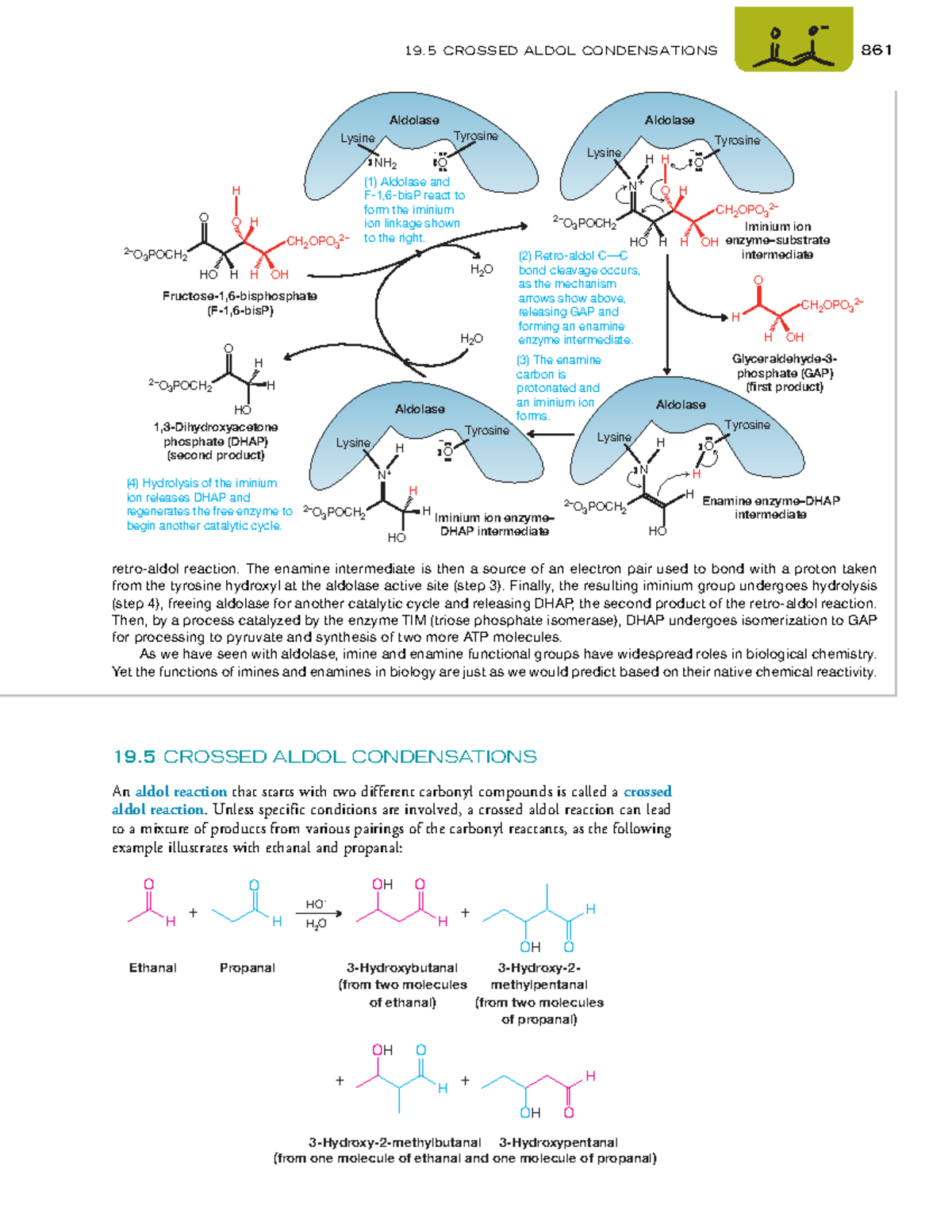 Organic Chemistry (Craig B. Fryhle, Scott A. Snyder etc.) (z-lib - 19 ...