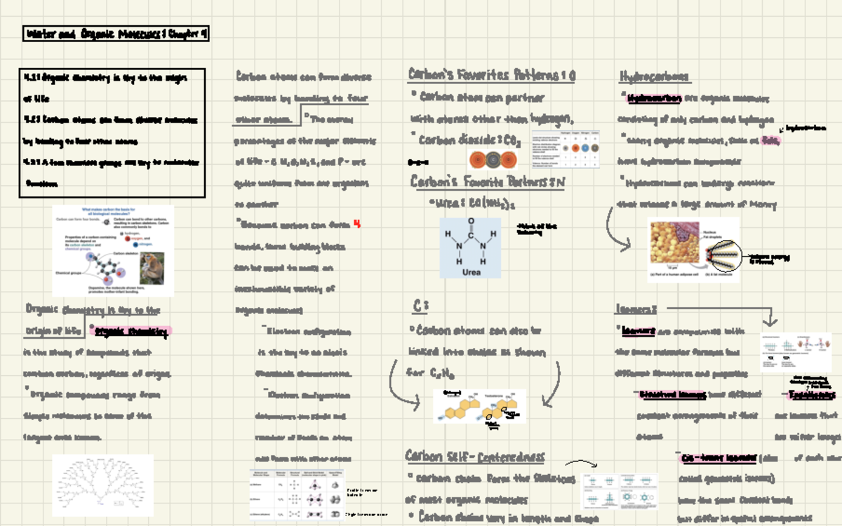 Chapter 4 : Water and Organic Molecules - Single bonds can rotate ...