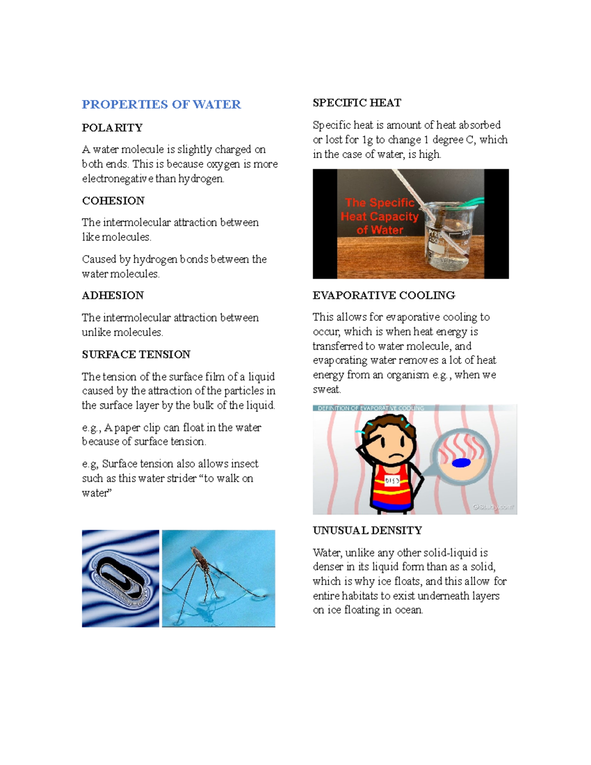 Properties OF Water 3 - PROPERTIES OF WATER POLARITY A water molecule ...