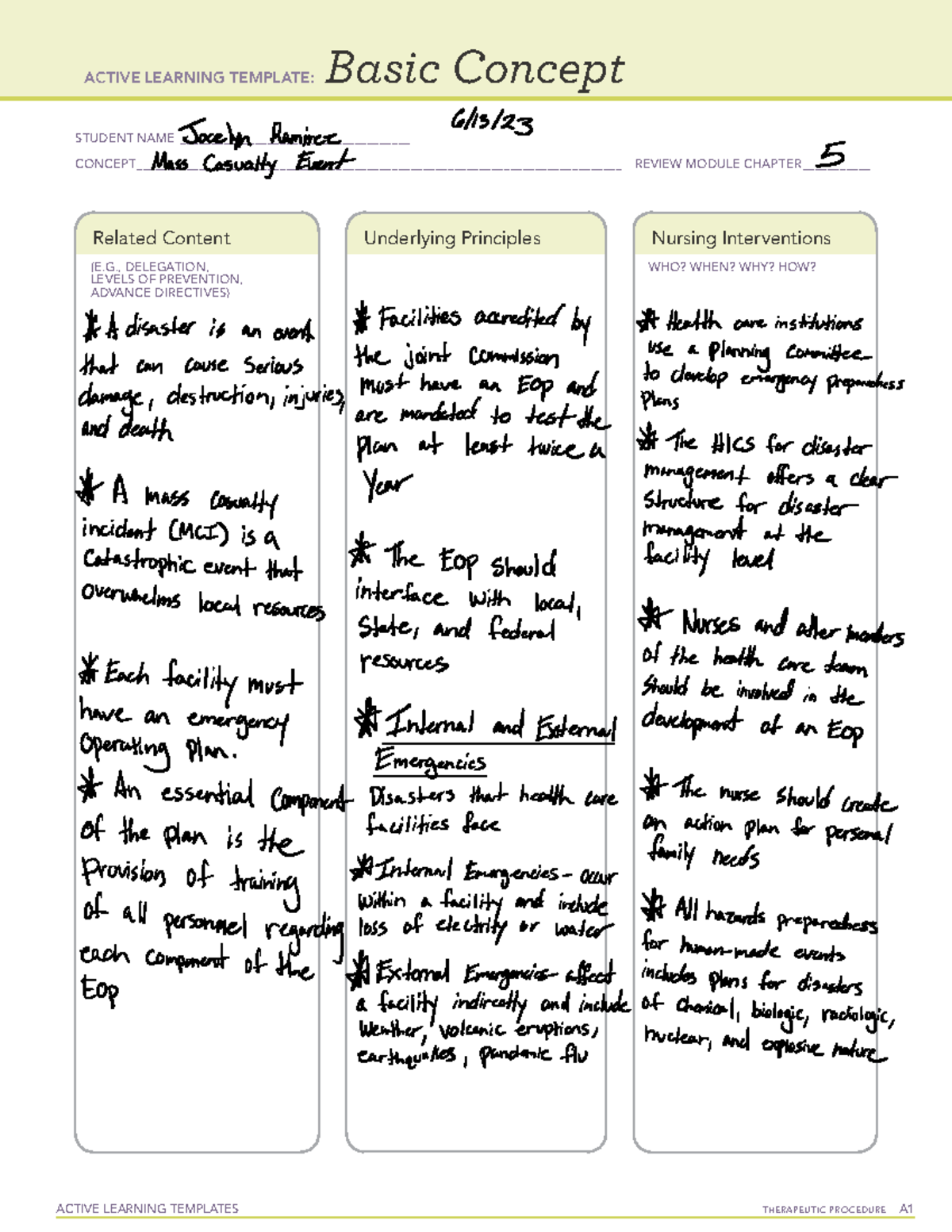 Ramirez J leadership ATI Temp. MCE - ACTIVE LEARNING TEMPLATES ...