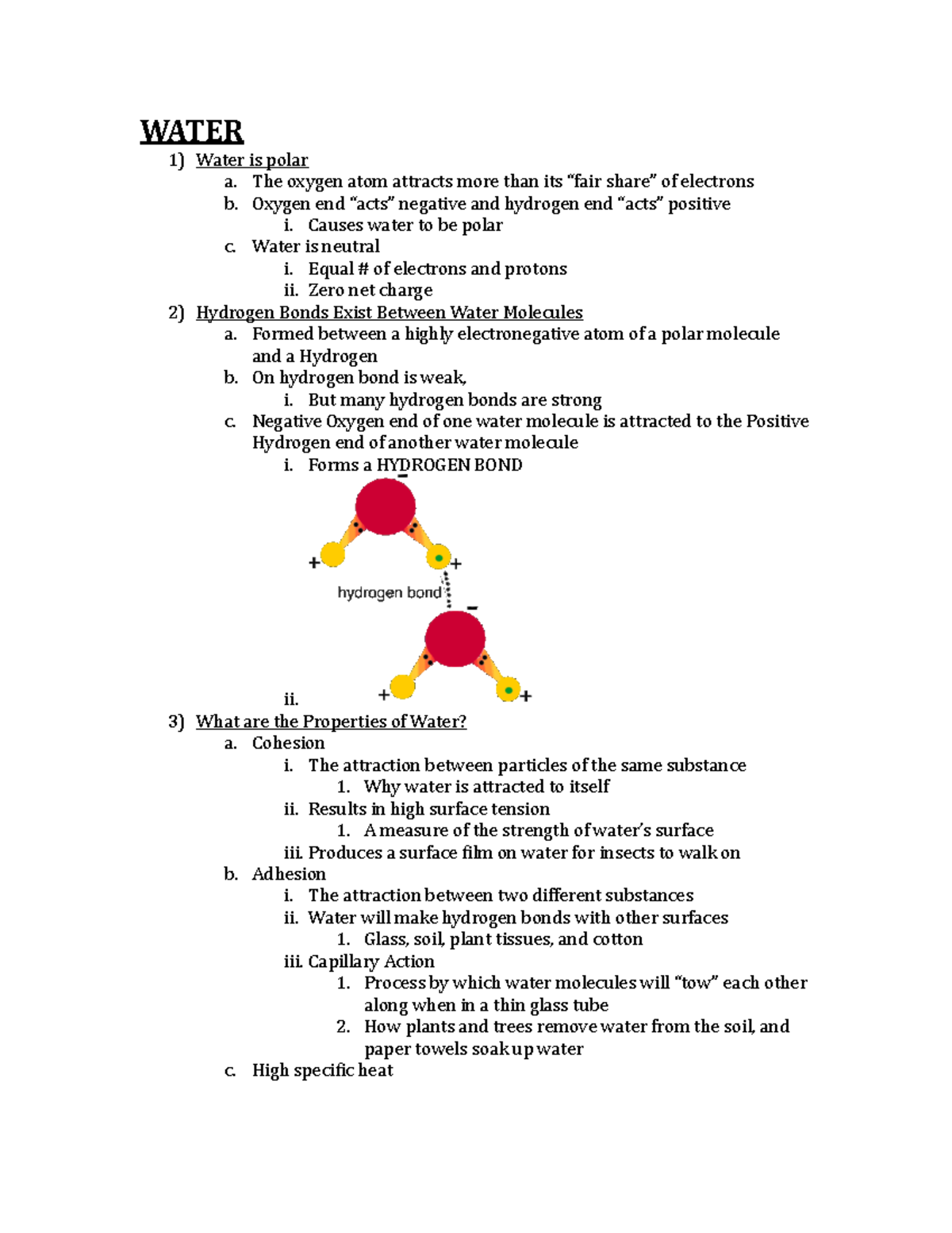 Lecture 5 Notes- Water - WATER Water is polar a. The oxygen atom ...