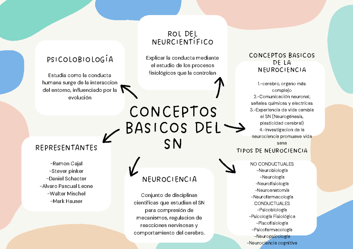 Conceptos Basicos DEL SN - CONCEPTOS BASICOS DEL SN PSICOLOBIOLOGÍA Estudia como la conducta ...