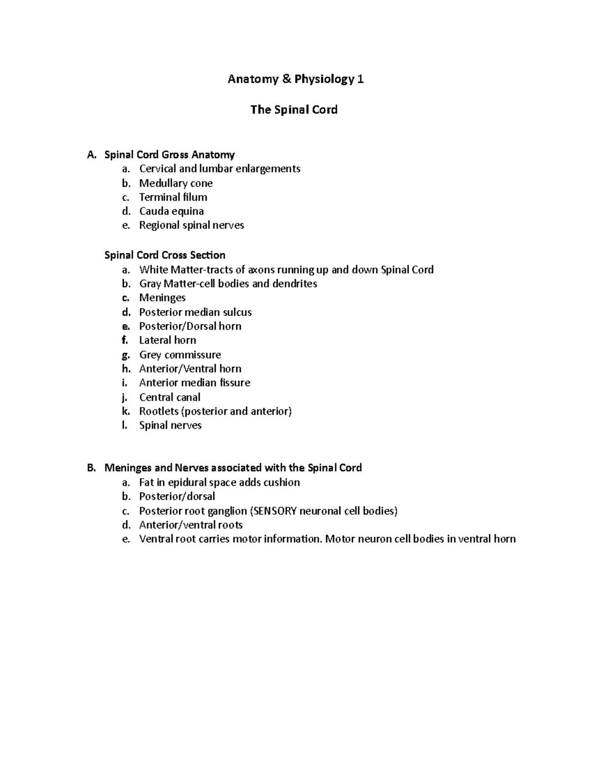 Spinal Cord Notes - Anatomy & Physiology 1 The Spinal Cord A. Spinal ...