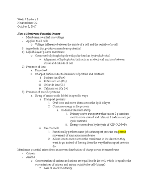 Lp direct instruction lesson plan template - Direct Instruction Lesson ...