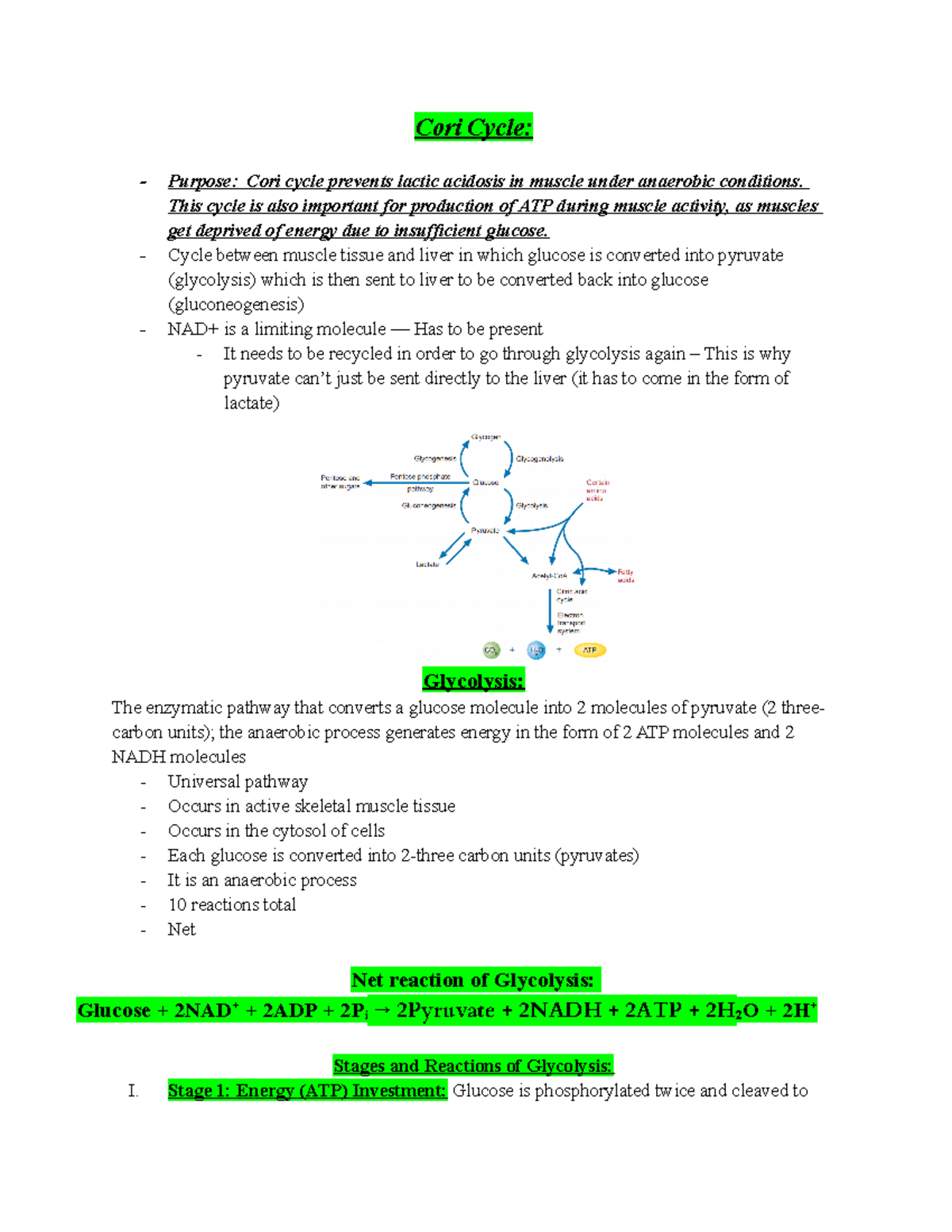 3.2 The Cori Cycle - Notes on the title biochemical mechanisms ...