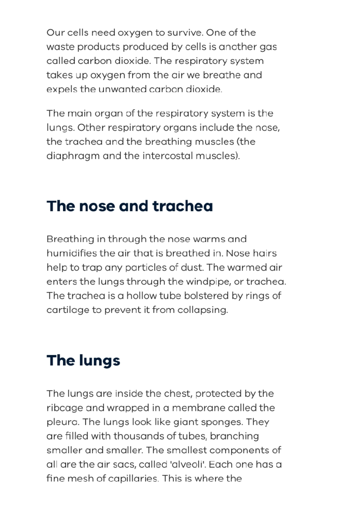 Respiratory Introduction - Human Anatomy and Physiology 1 - Studocu