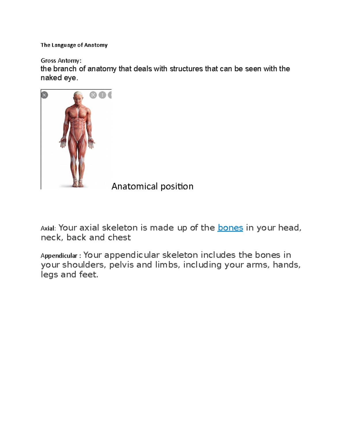 The Language of Anatomy Study Guide 1 - The Language of Anatomy Gross ...