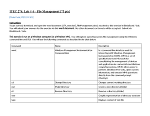 Cyber security - Mariama Hamid Itec 274- Professor Sean Kidd Itec 274 ...