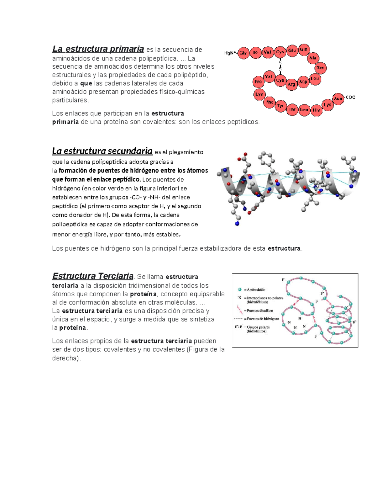 3 estructuras-Laila Moreno-Bioquimica - La estructura primaria es la ...