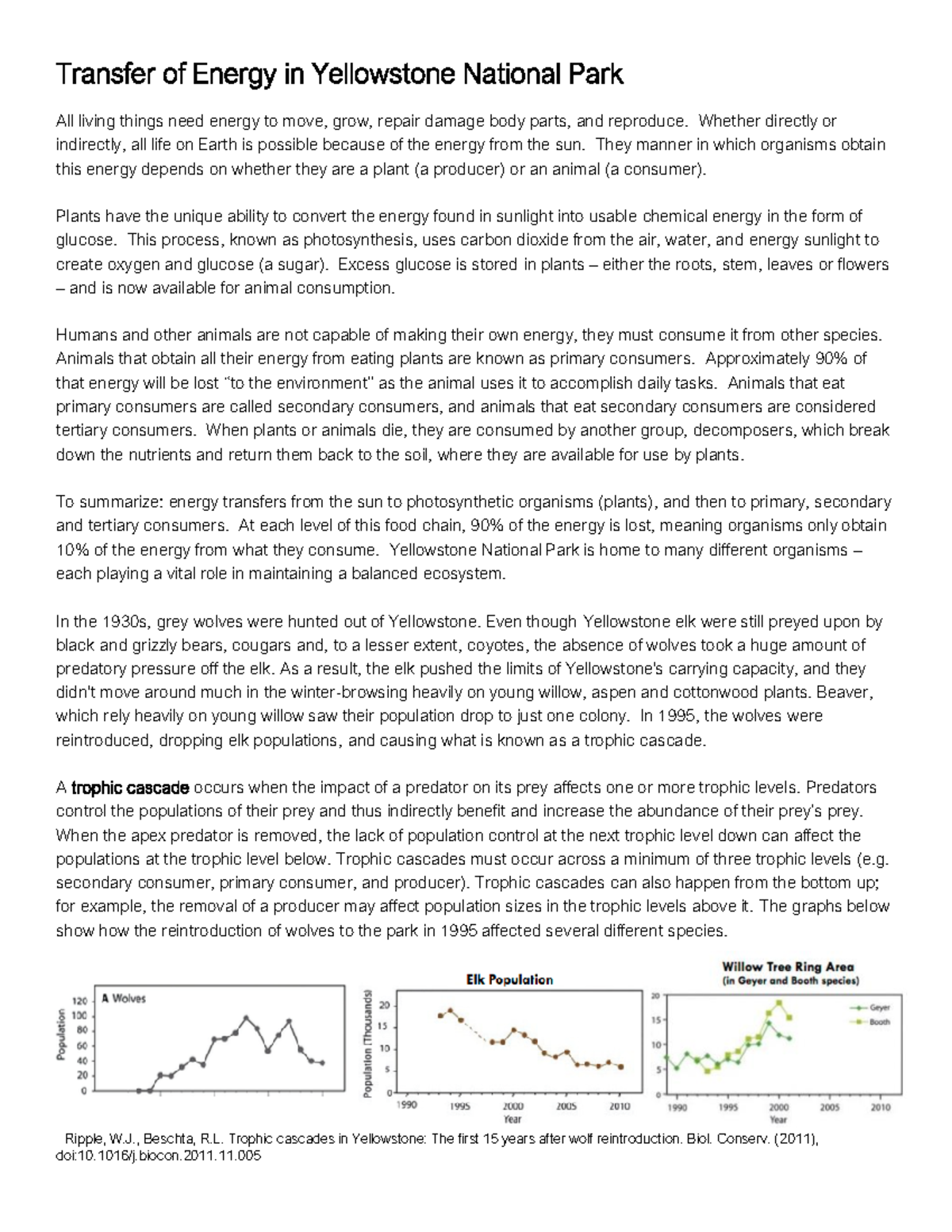 Transfer of Energy - kjn - Transfer of Energy in Yellowstone National ...