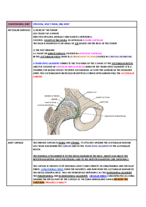 The Wrist and the Hand - Arthrology - THE WRIST AND HAND JOINTS THE ...