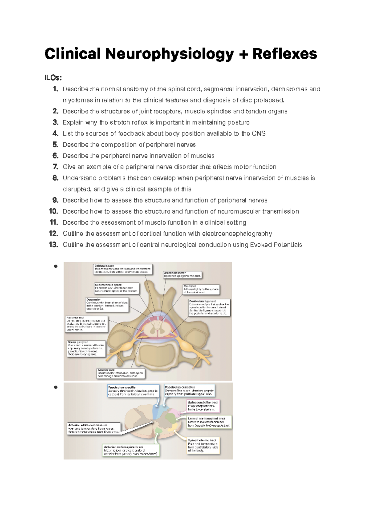 Clinical Neurophysiology and Reflexes - C l i n i c a l N e u ro p hys ...