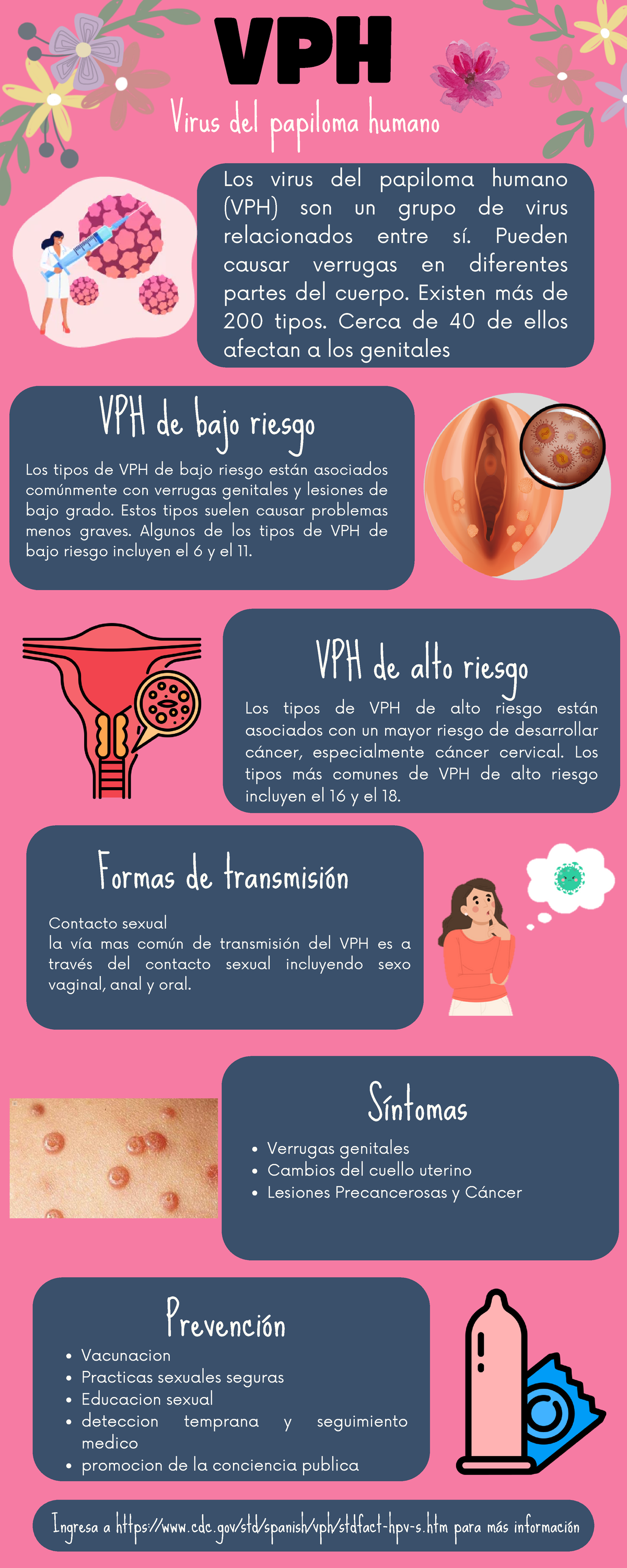 Info vph - infografia del vph - VPH Virus del papiloma humano Los virus ...
