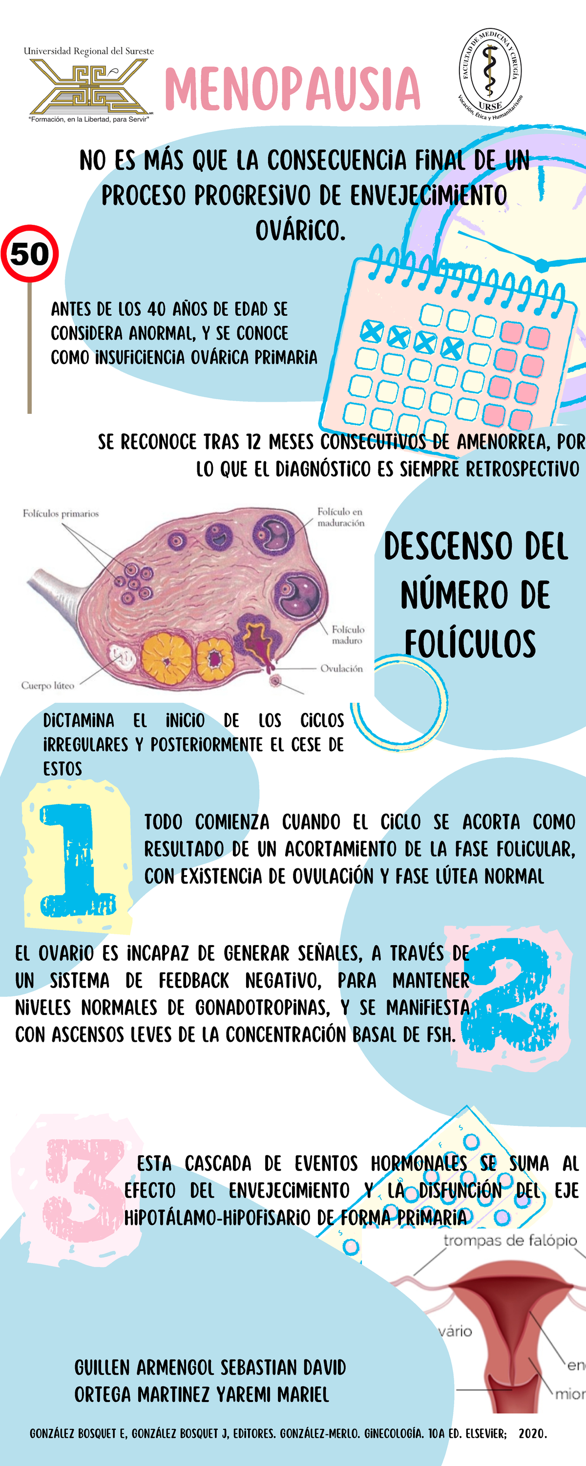 Menopausia - no es más que la consecuencia final de un proceso ...