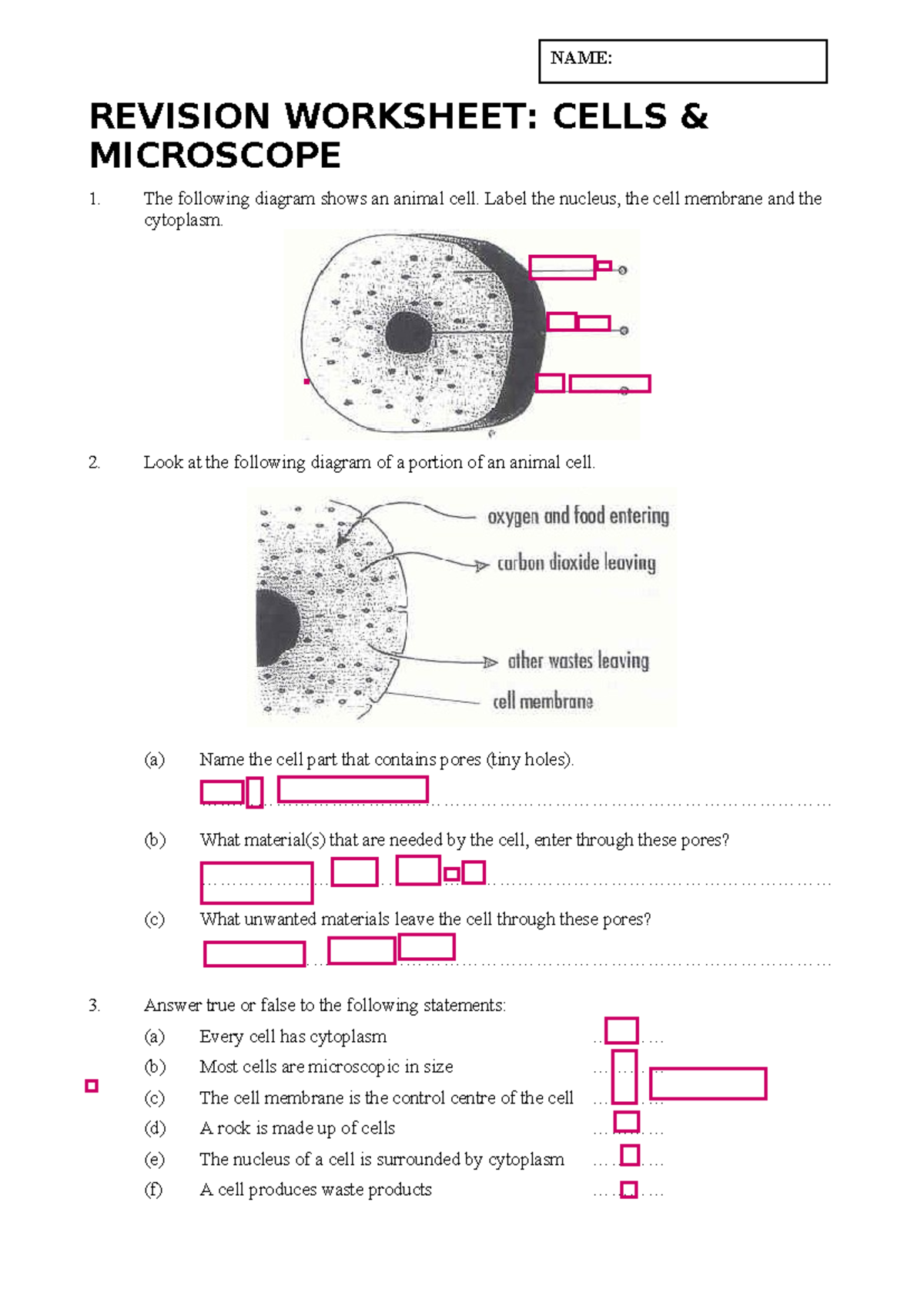 17. Worksheet- Revision Cells Microscopes (Auto Recovered) - REVISION ...