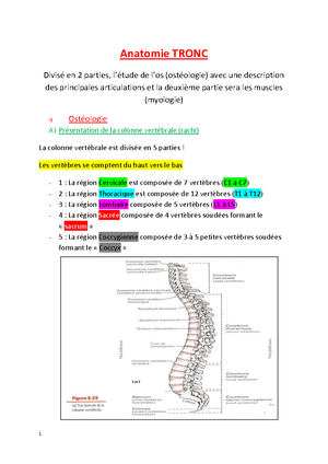 Anatomie DU Tronc - ANATOMIE DU TRONC I. Ostéologie A- La colonne ...