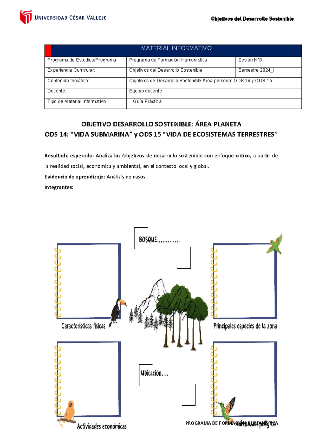 Guía práctica N° 08 - OSD - MATERIAL INFORMATIVO Programa de Estudios ...