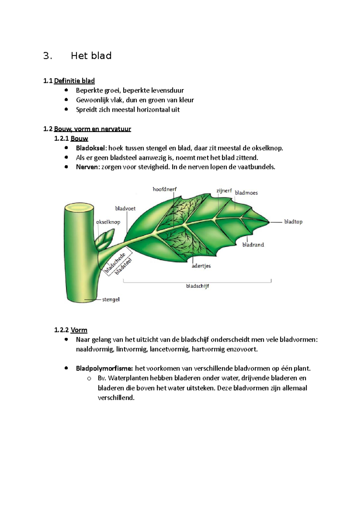 Biologie 1 - hoofdstuk 1 - 3. Het blad 1 Definitie blad Beperkte groei ...