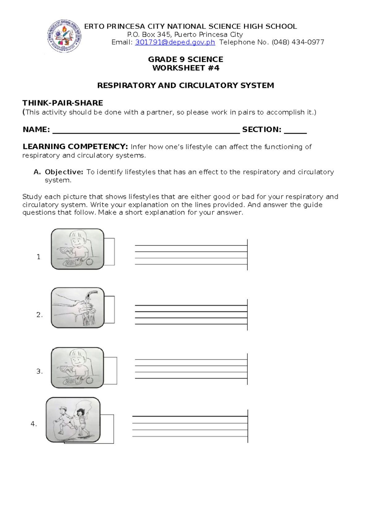 Science Worksheet 4 - respiratory system - PUERTO PRINCESA CITY ...