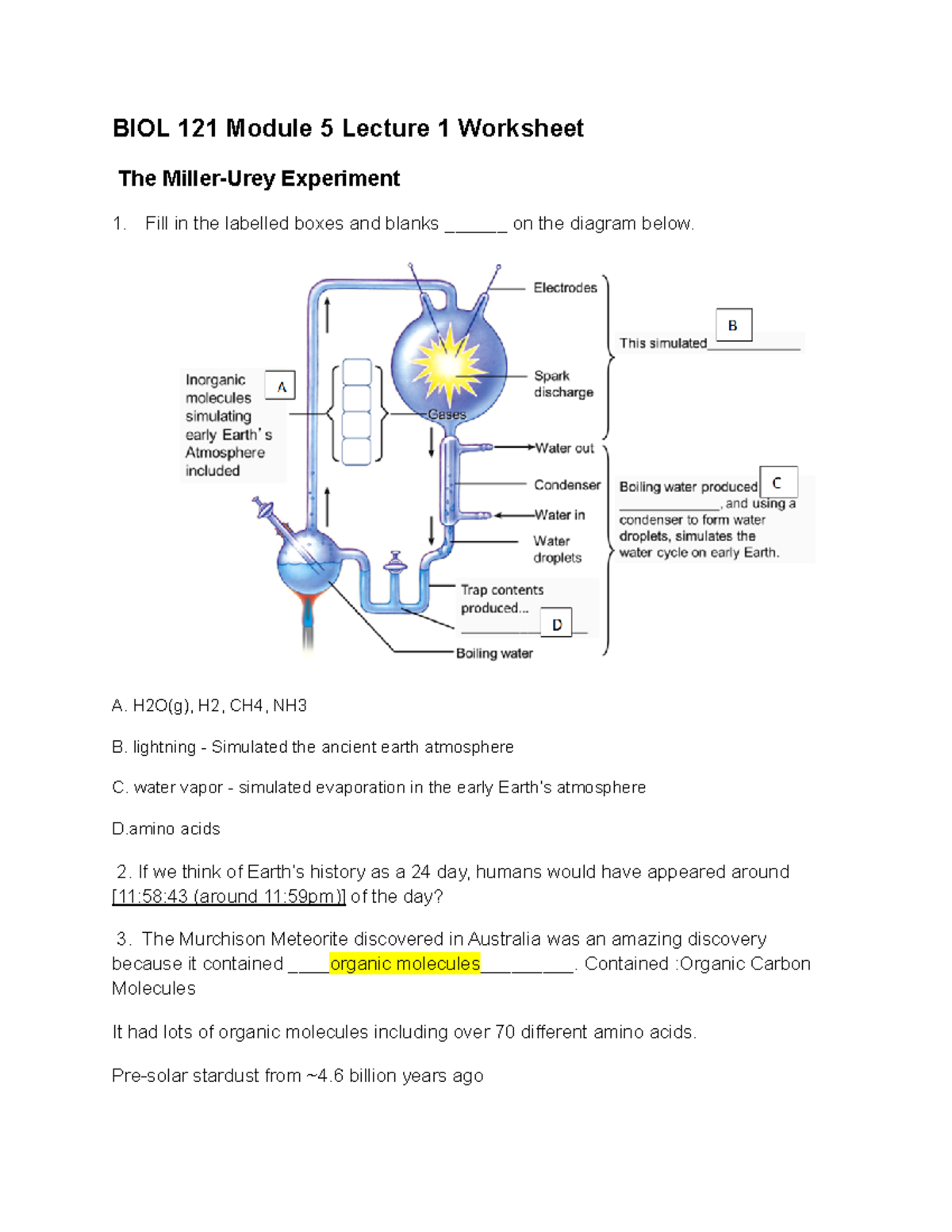 BIOL 121 Module 5 Lecture 1 Worksheet - BIOL 121 Module 5 Lecture 1 ...