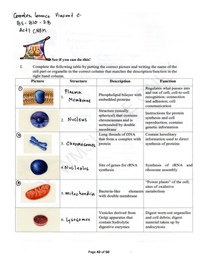 Act2. Worksheet - Microorganisms - BS Biology - 100x 40x 400x - Studocu