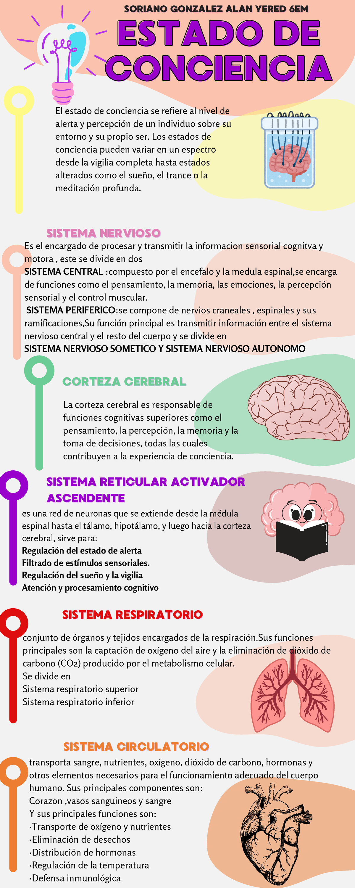 Estado DE - infografia - ESTADO DEESTADO DE El estado de conciencia se ...