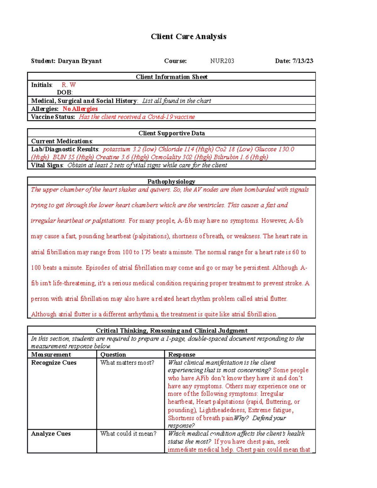 Client Care Analysis - Clinical paperwork - Client Care Analysis ...