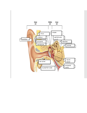 Medical Terminology - young - Medical Terminology It is critical that ...