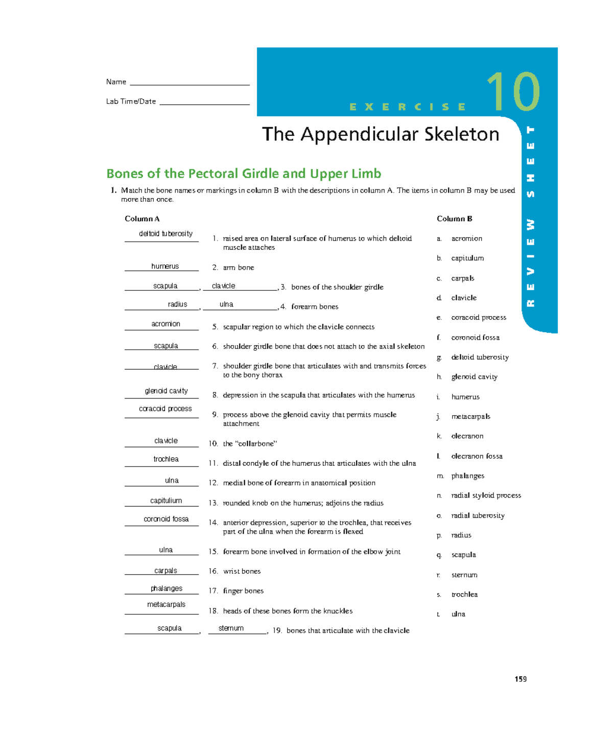 Ex 10 - Lab assignment - 159 R E V I E W S H E E The Appendicular Skeleton T 10 Bones of the ...